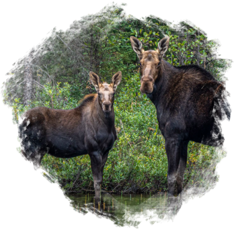 Rufus Lake Outfitters - Activities